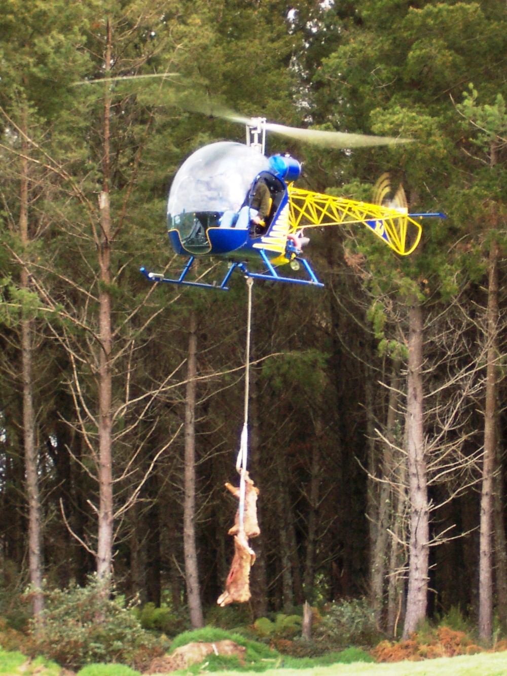 Safari New Zealand - Safari Helicopter